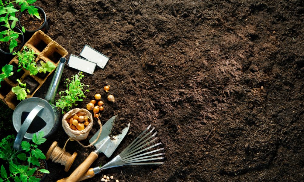 Factors To Consider When Planning a Garden