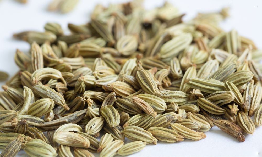 5 Tips for Creating a Personal Seed Bank